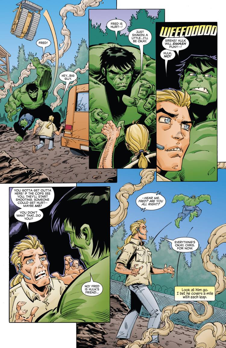 Why Did Hulk's Biography Take Decades To Finish?