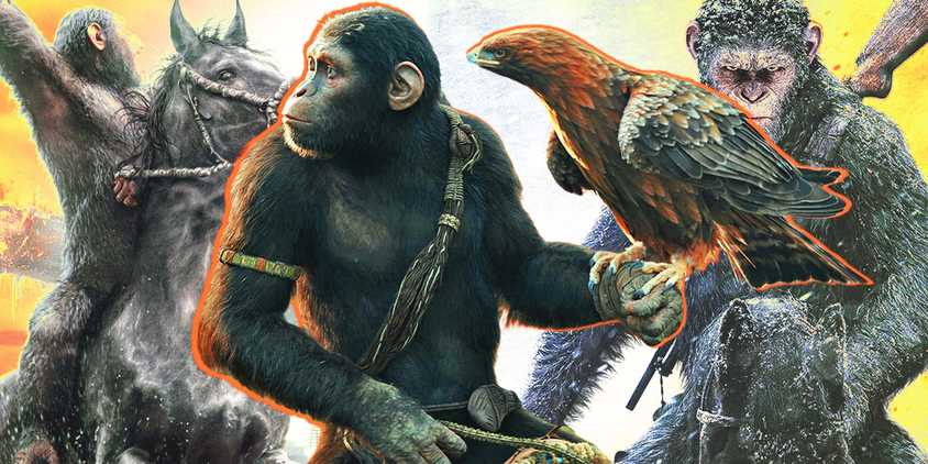 Everything Planet of the Apes Fans Need to Know About the Reboot Trilogy