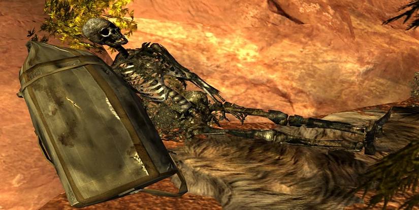 Fallout's Best Characters