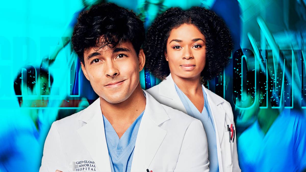 Grey's Anatomy: Season 20, Episode 4, "Baby Can I Hold You," Recap ...