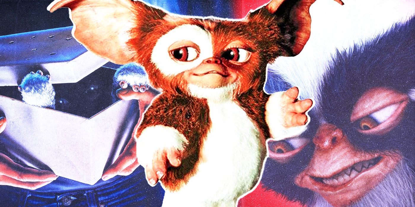 Can Gremlins Turn Back Into Mogwai?