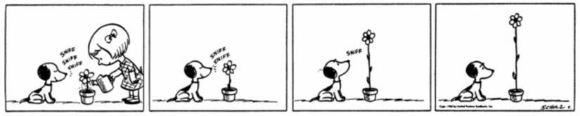 When Did Snoopy Become Charlie Brown's Dog?