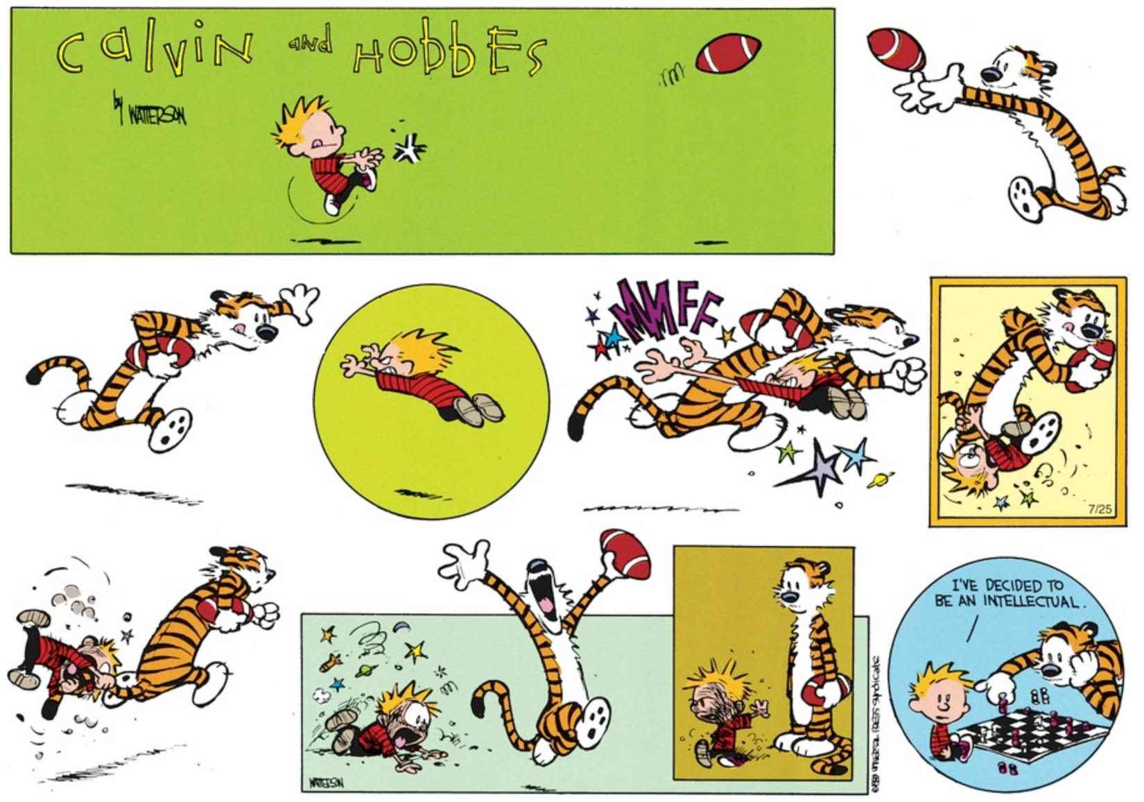 Hobbes' 15 Greatest Moments In Calvin & Hobbes