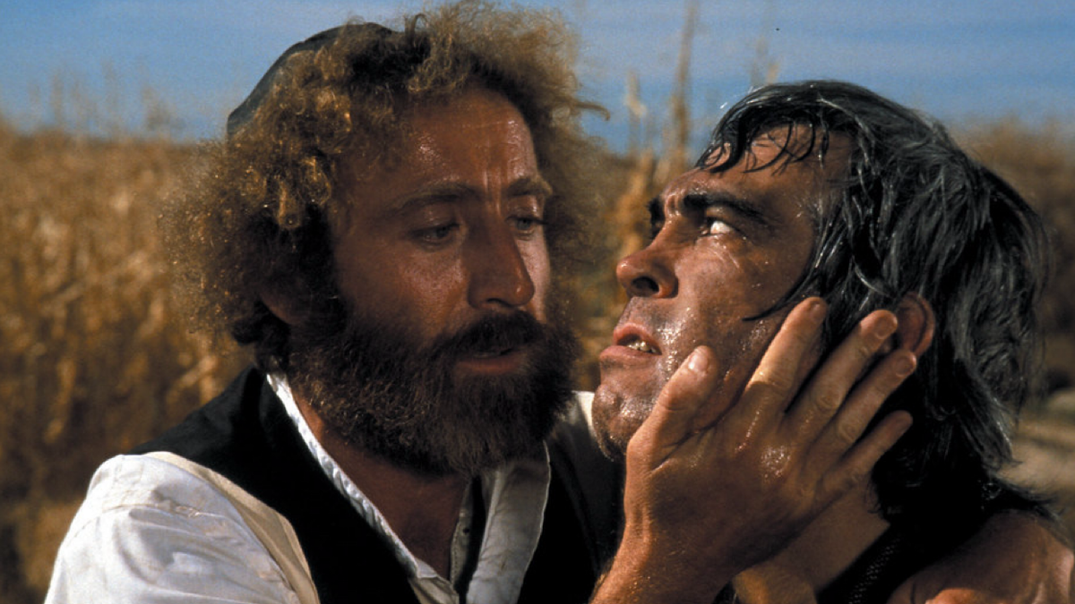 5 Years After Blazing Saddles, Gene Wilder & Harrison Ford Starred in ...