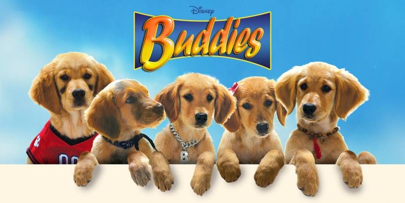 This '90s Disney Film Started a Bizarre Franchise - & Lasted Way Longer ...