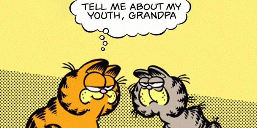 Is Garfield Based on a Real Cat?