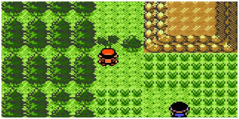 Things In Retro Pokémon Games That No One Misses