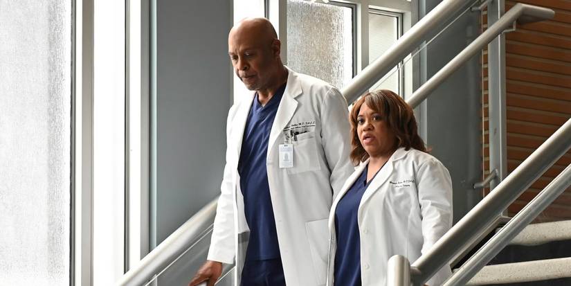 Why Dr. Bailey is Grey's Anatomy's Best Asset