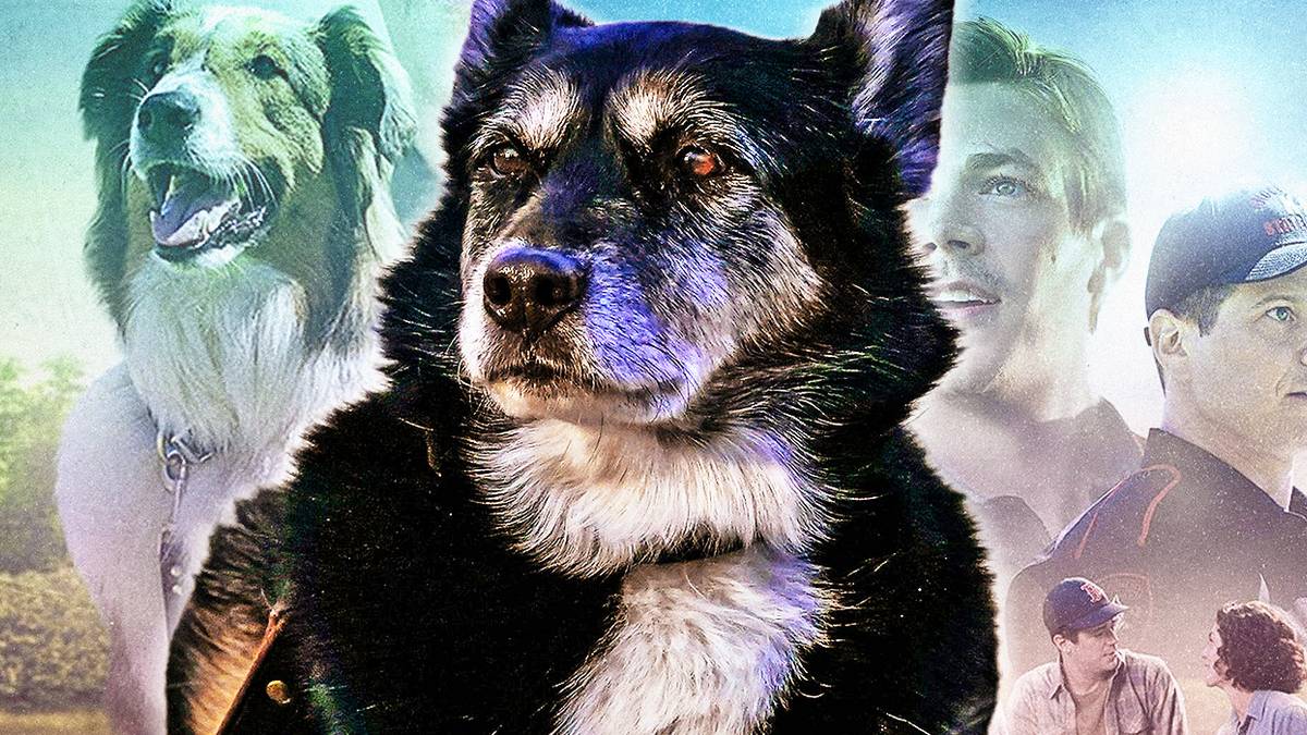 Is Rescued by Ruby a True Story?