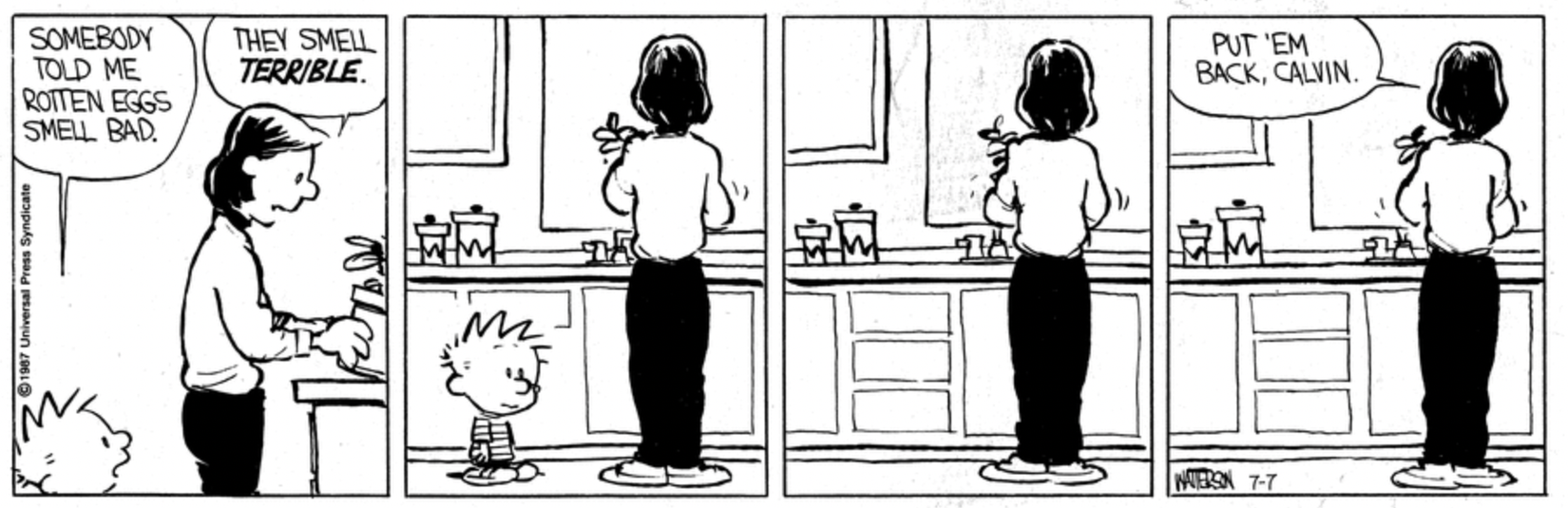 10 Best Calvin & Hobbes Comic Strips for Kids