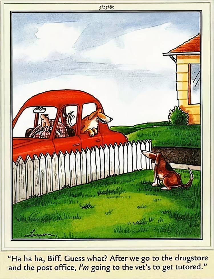 15 Best The Far Side Comics Featuring Dogs