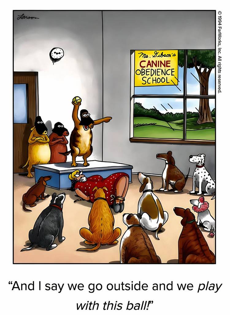 10 Best Far Side Comics Set At School