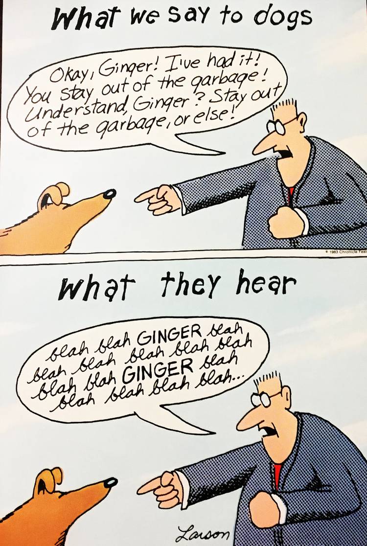 15 Best The Far Side Comics Featuring Dogs