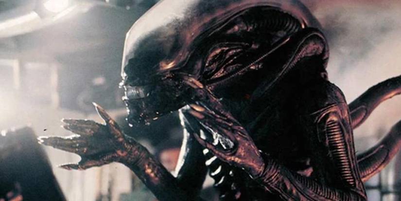 Alien Fans Have Been Wrong About the Franchise's Biggest Staple for 38 ...