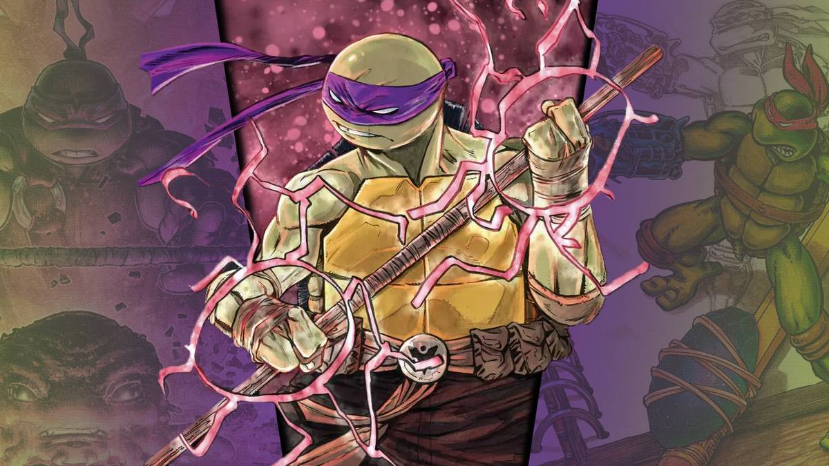 Cartoon Ninja Turtles Donatello
