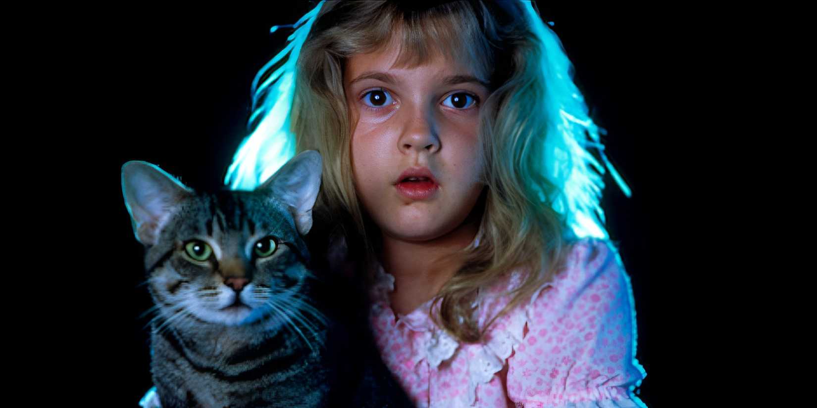 Every Stephen King '80s Movie, Ranked
