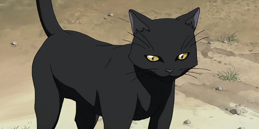 Yoruichi's Best Episodes in Bleach, Ranked