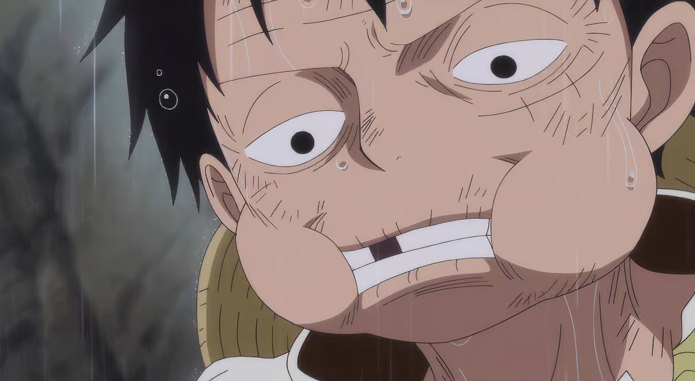 The One Piece-McDonald’s Collab, Explained