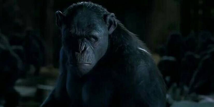 Greatest Planet of the Apes Characters, Ranked
