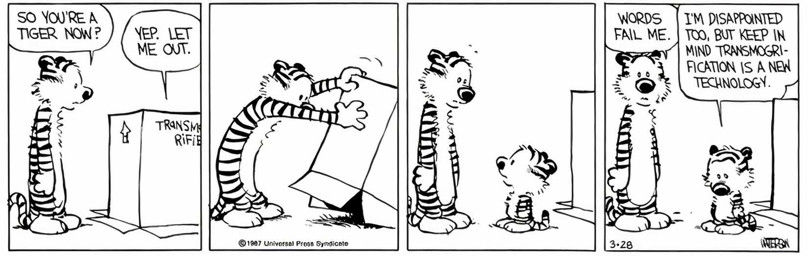 10 Cutest Calvin and Hobbes Comic Strips, Ranked