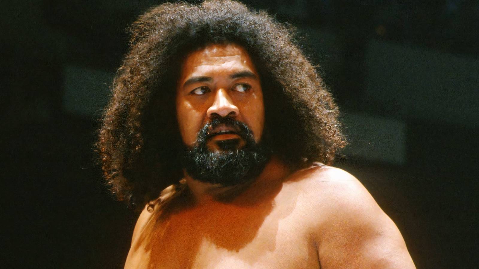 Sika Anoa'i, WWE Hall of Famer and Roman Reigns' Father, Dies at 79