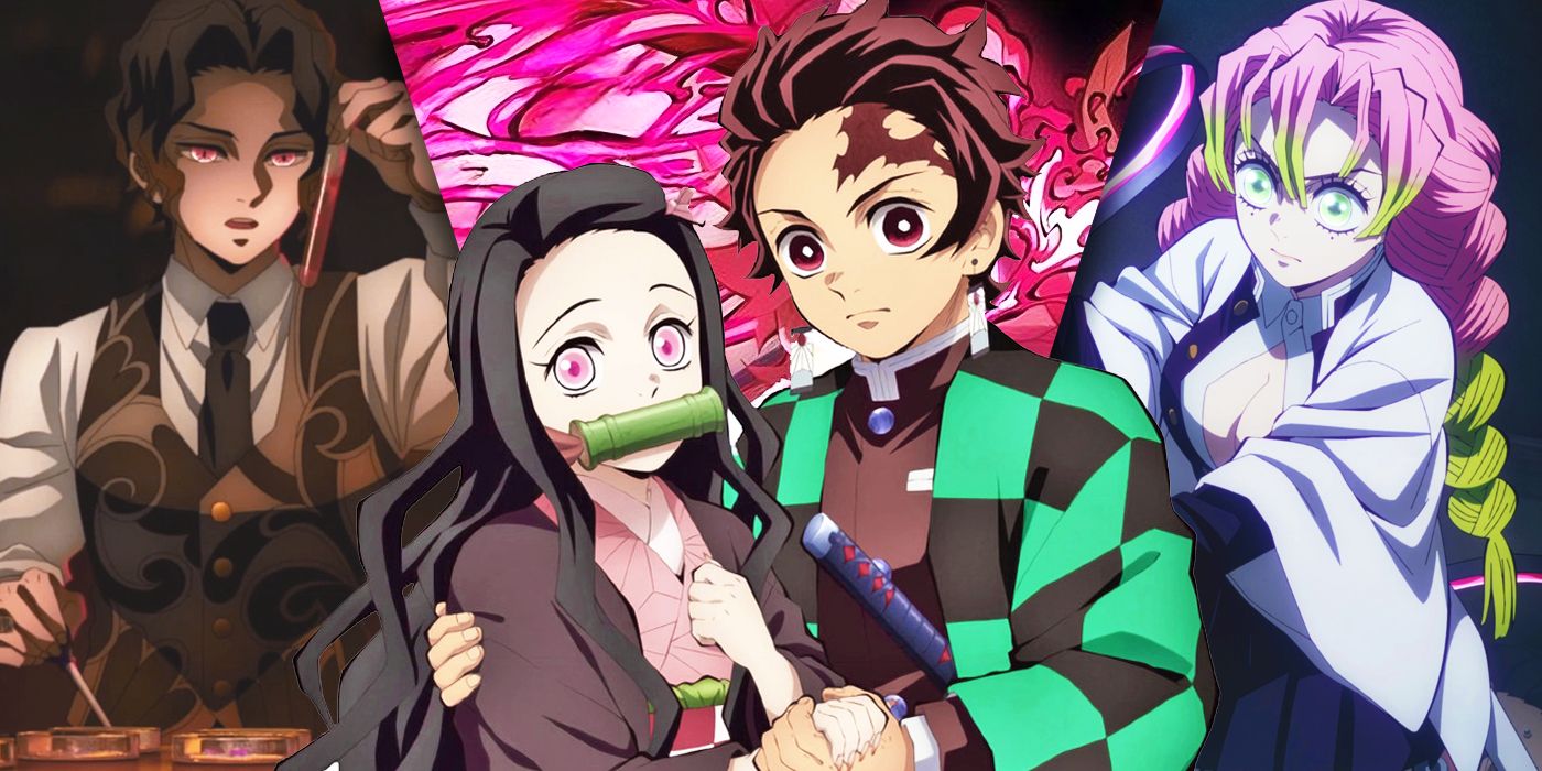 Demon Slayer: Kimetsu No Yaiba - To the Hashira Training | CBR