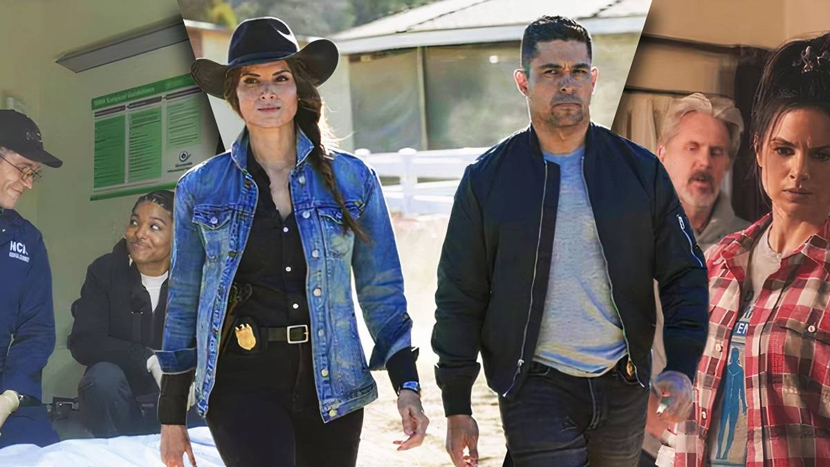 The Best NCIS Episodes Since 2020, Ranked