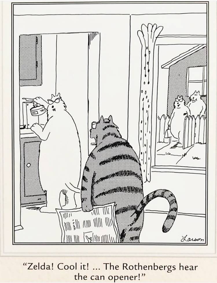 The Funniest The Far Side Comics About Animals