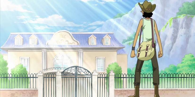 10 One Piece ‘Plot Holes’ That Were Addressed Later in the Series