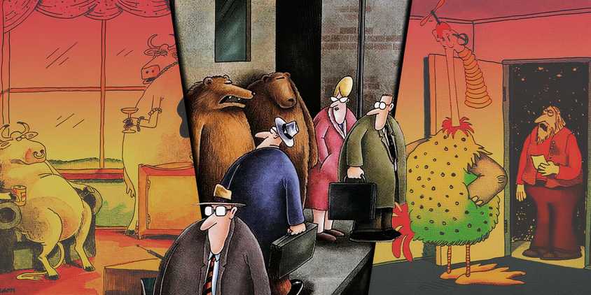 15 Funniest The Far Side Comics Featuring Chickens, Ranked