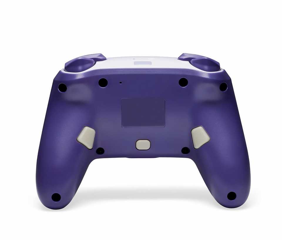 Nintendo Switch Reveals New Pokemon Controller