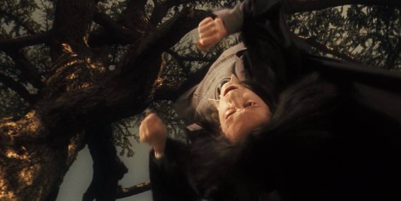 Snape’s Relationship With Lily Potter, Explained