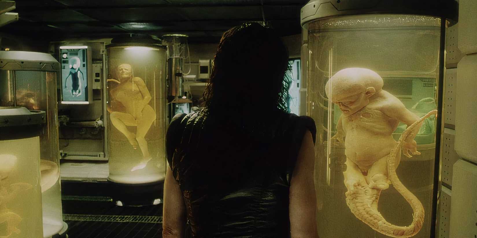 10 Most Disturbing Deaths in the Alien Franchise, Ranked