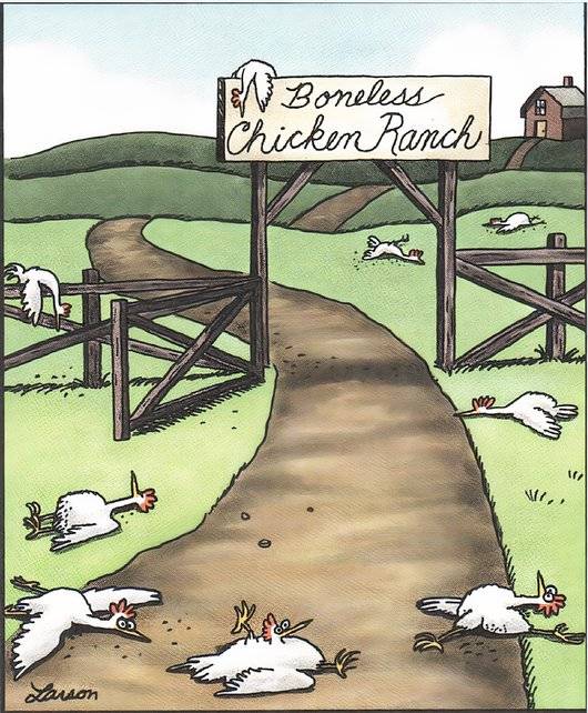 15 Best The Far Side Comics Featuring Farm Animals
