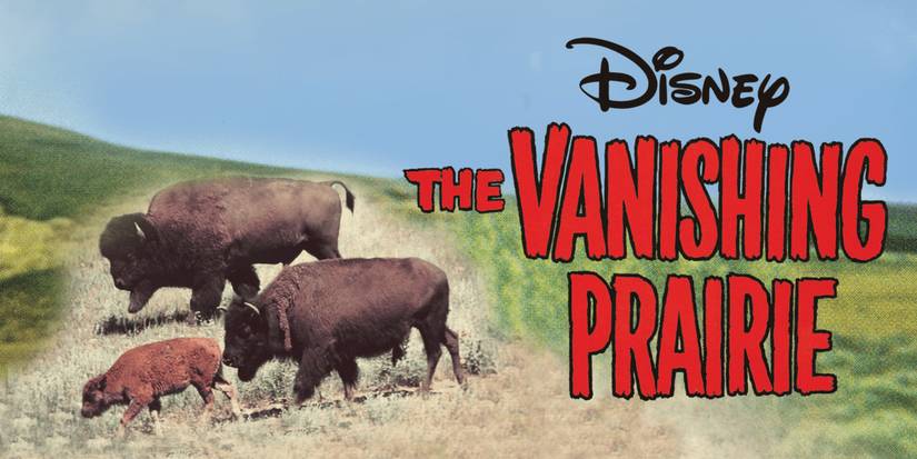 Disney's First 25 Movies Ever