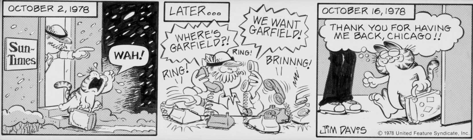 20 Things You Didn't Know About the Garfield Comic Strips