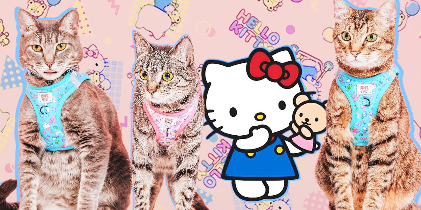 Every Hello Kitty Anime Series, Ranked