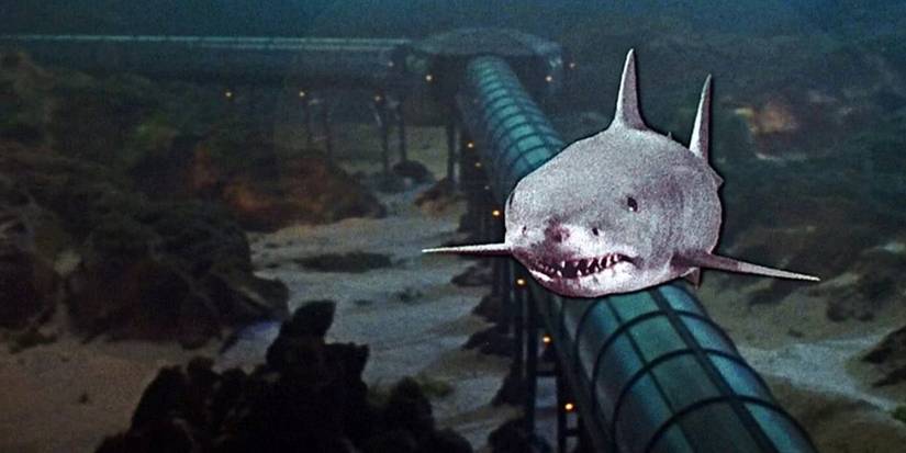 The Jaws Movies, Ranked