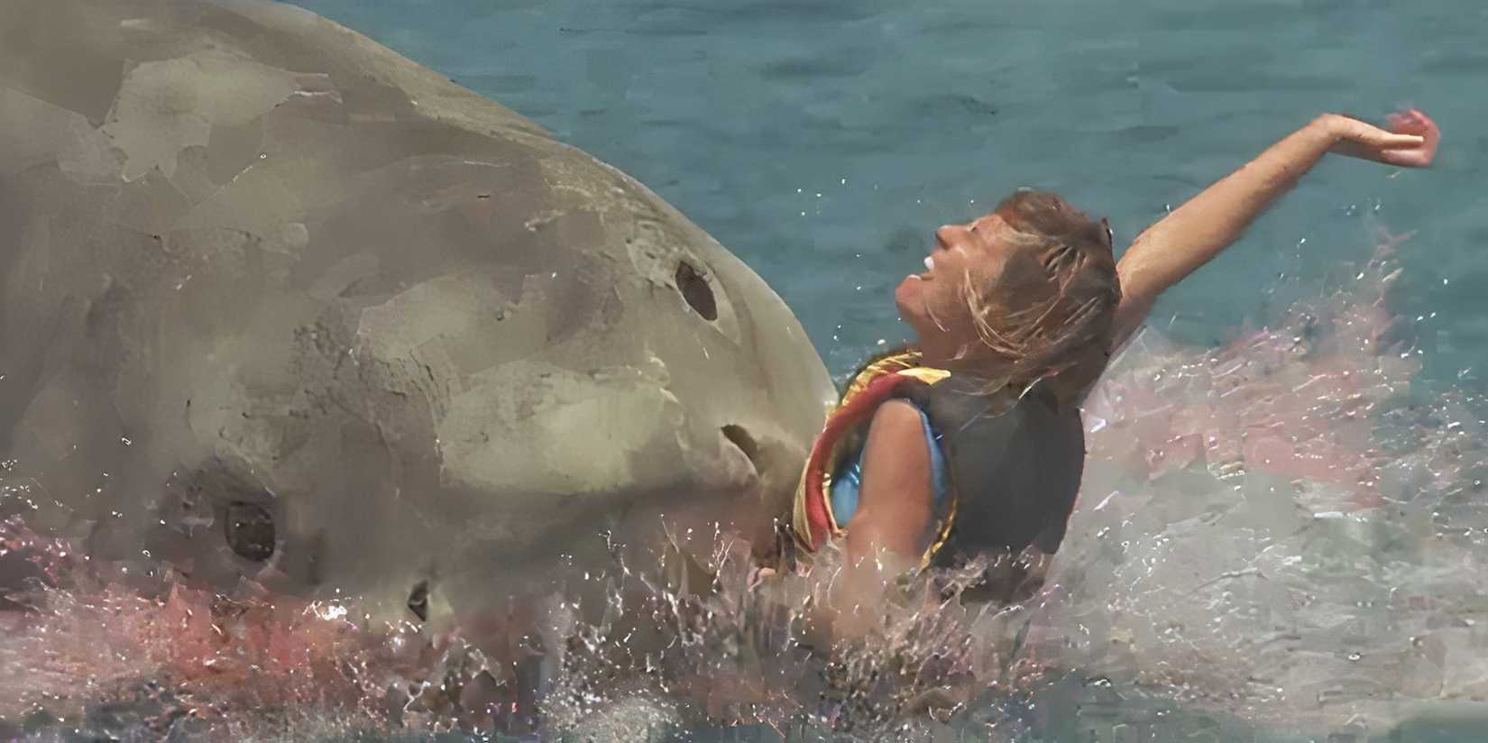 The Jaws Movies, Ranked