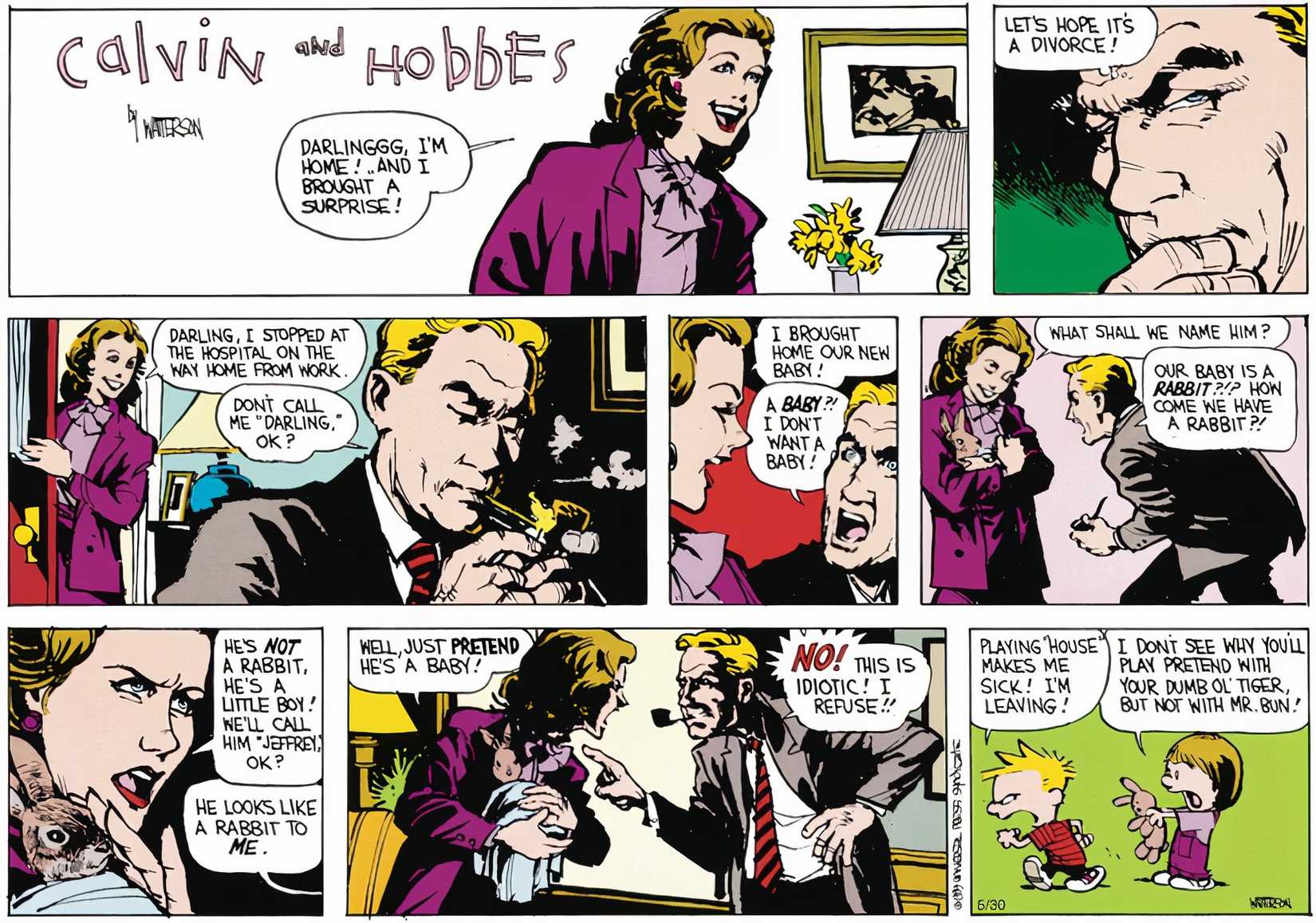 10 Best Calvin & Hobbes Comics with Animals (That Aren’t Hobbes)