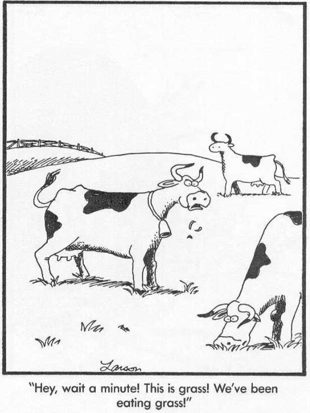 15 Best The Far Side Comics Featuring Farm Animals