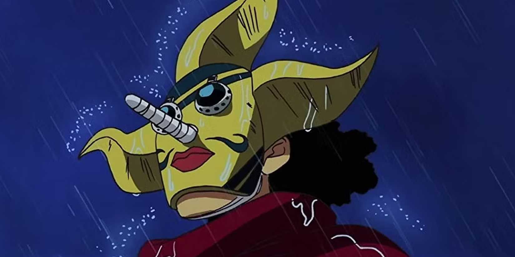 Every Straw Hat Pirate's Moniker, Explained