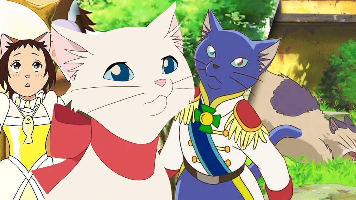 miyazaki cat