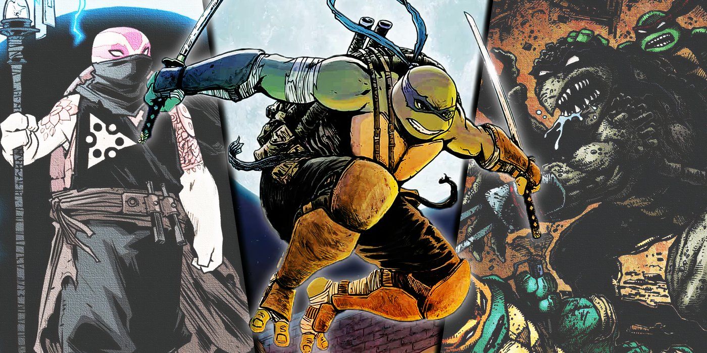 10 New TMNT Characters from the IDW Comics, Ranked
