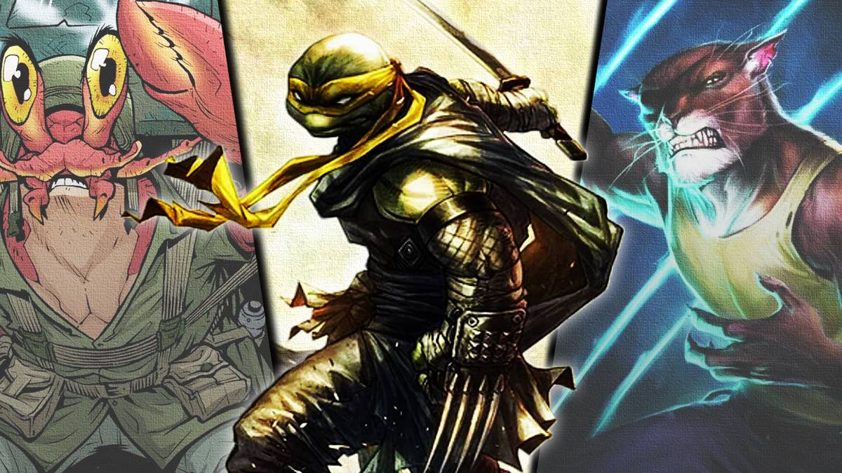 10 New TMNT Characters from the IDW Comics, Ranked