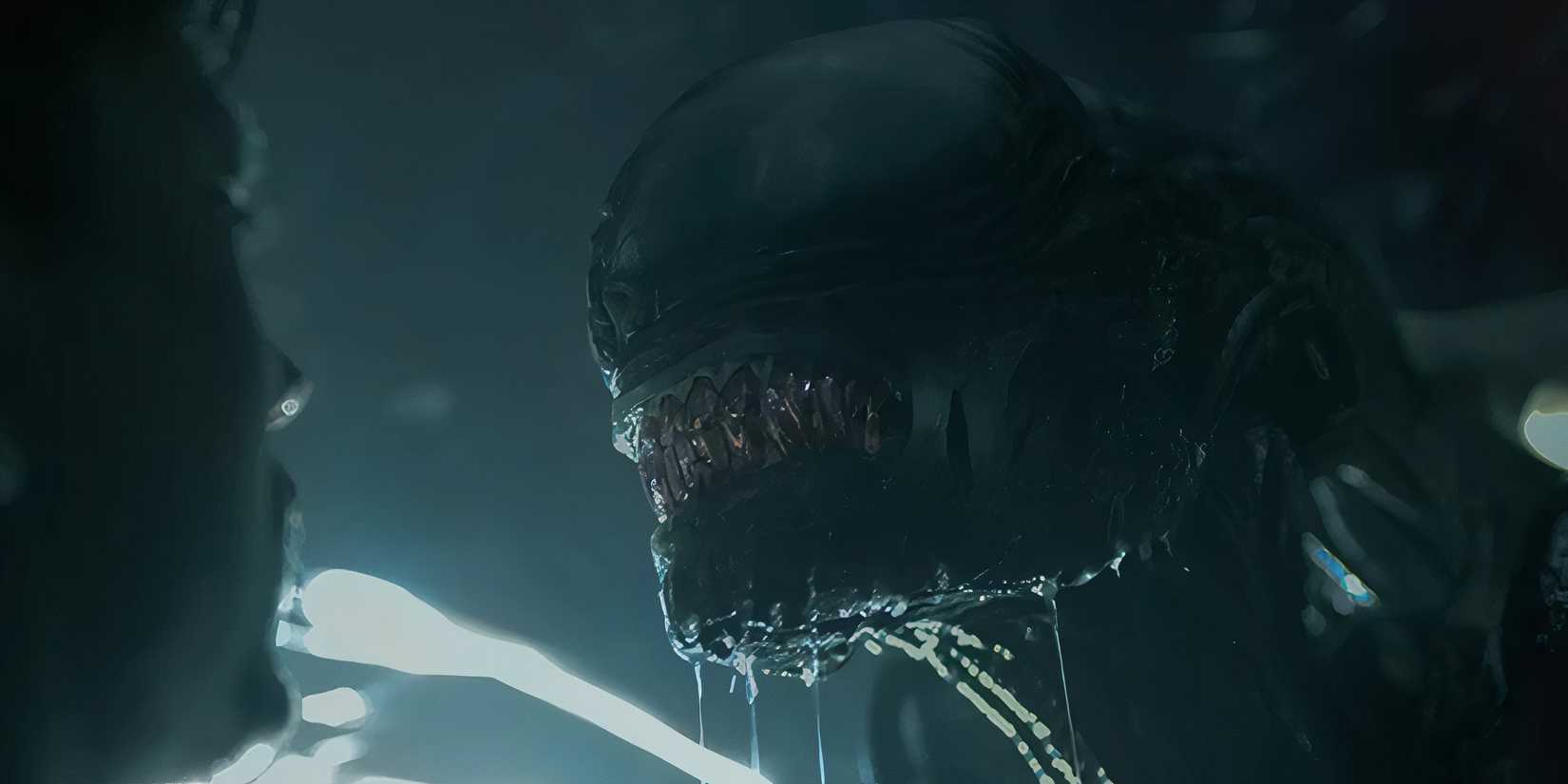 Alien: Romulus Cast & Character Guide