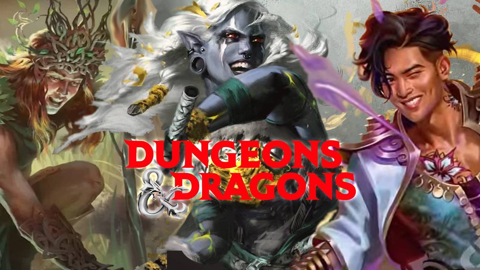 DnD 5e 2024 Players' Handbook Updates Every Class & Subclass