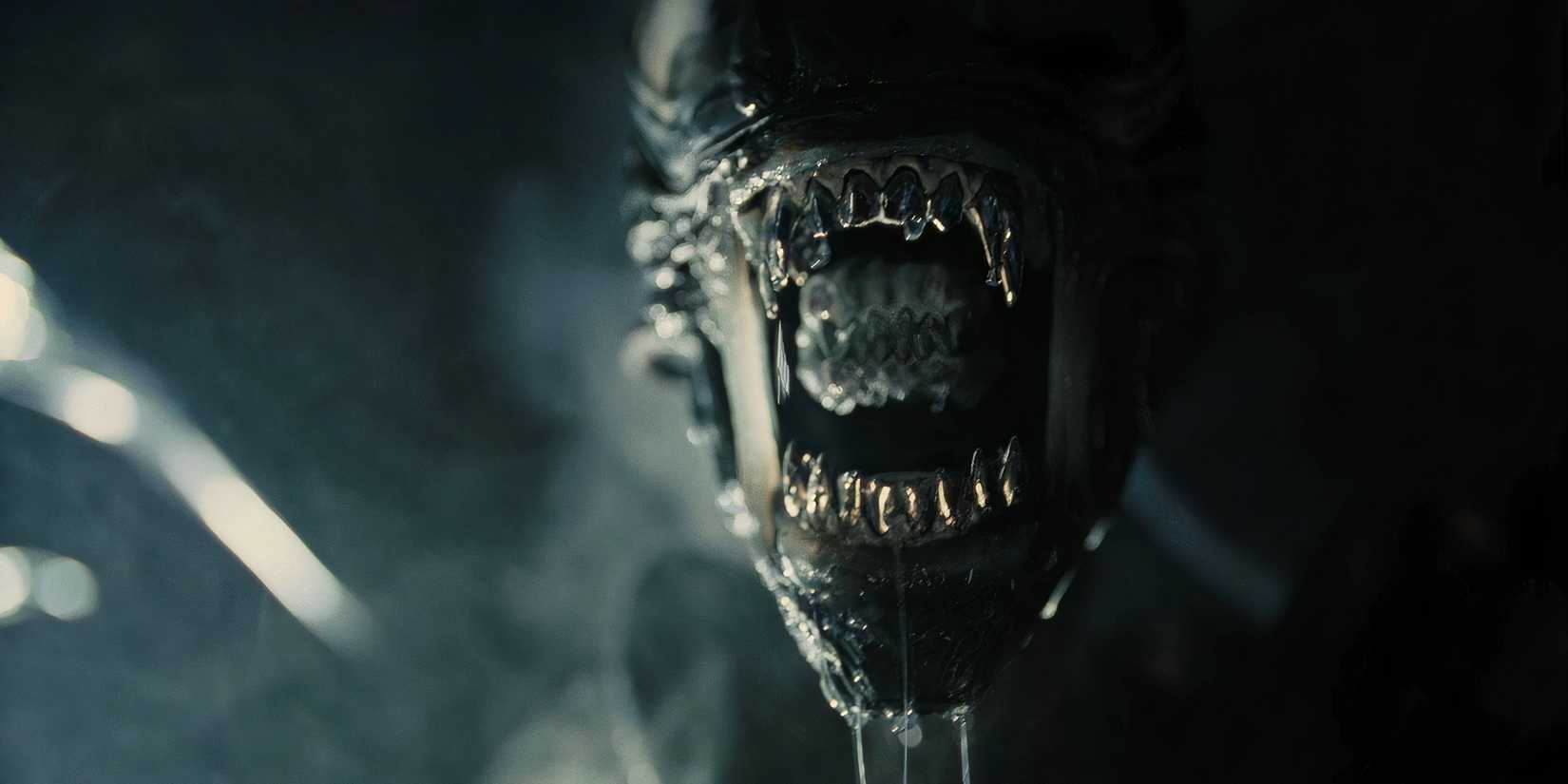 Alien: Romulus Is the Closest Any Modern Sci-Fi Horror Has Come to the ...