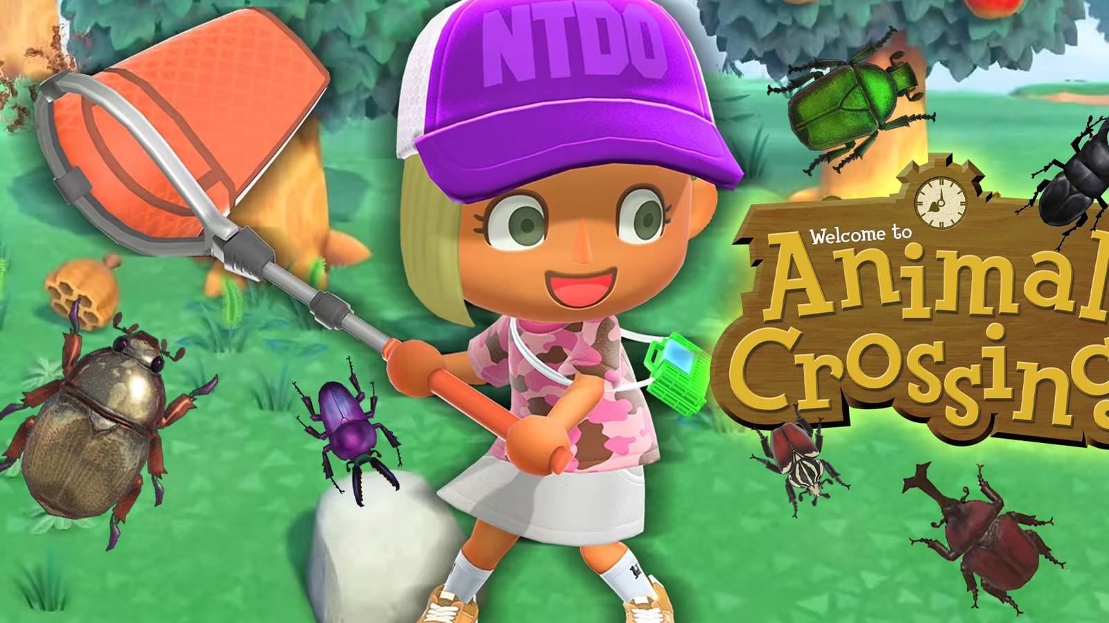 Animal Crossing's Rarest Beetles Are Simple to Catch
