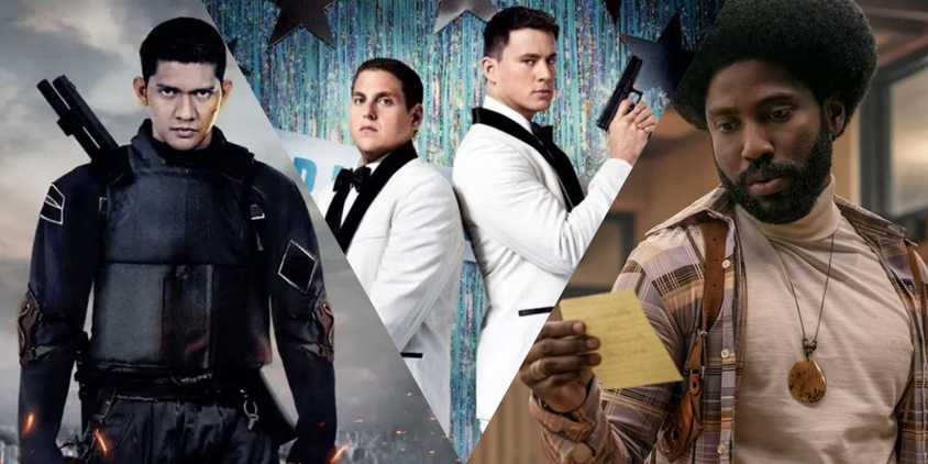 The Best Todd Phillips Movies, Ranked